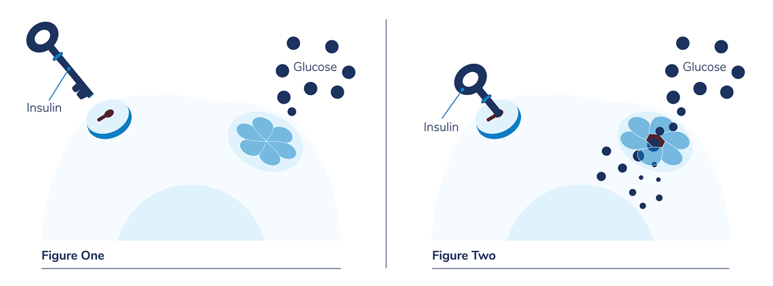 A Complete Guide To Diabetes In Older Adults - CorsoCare